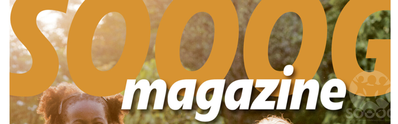 Raad van Toezicht - Stichting Openbaar Onderwijs Oost Groningen